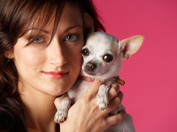 Do Dogs Have a Sixth Sense? | Psychology Today