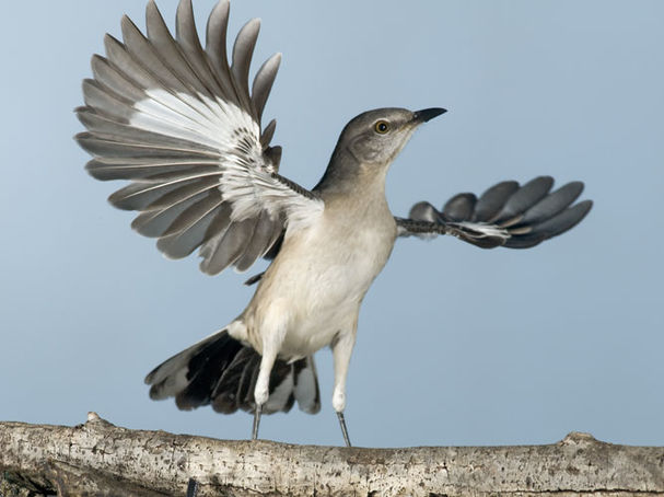 How to Be Happy, Step 1: Figure Out What “Happy” Means | Psychology Today