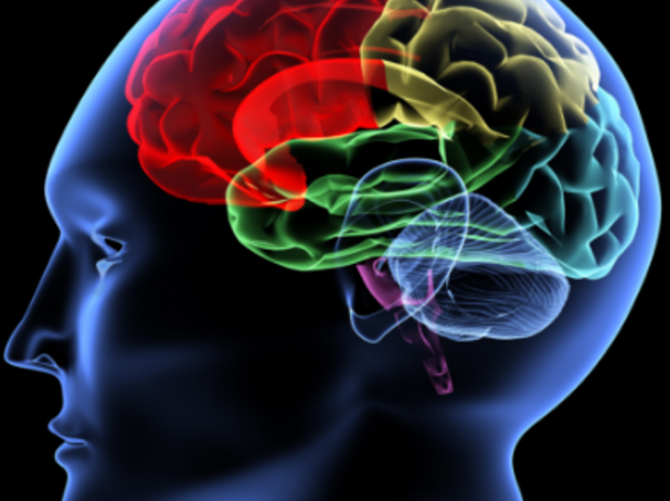 How To "Grow" Your Mental Health | Psychology Today