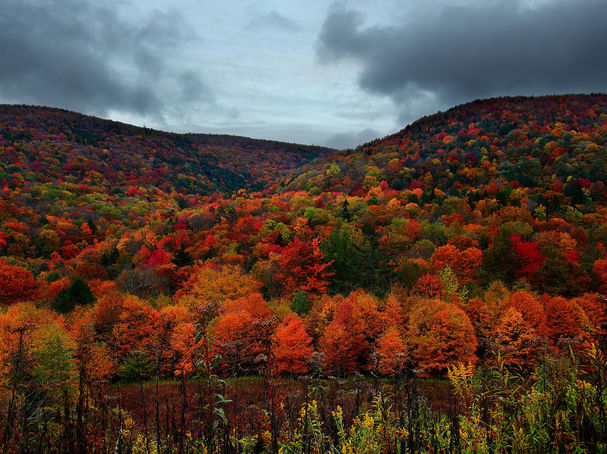 Spring Unfolds in Quotations, Reflections, and Photographs | Psychology ...