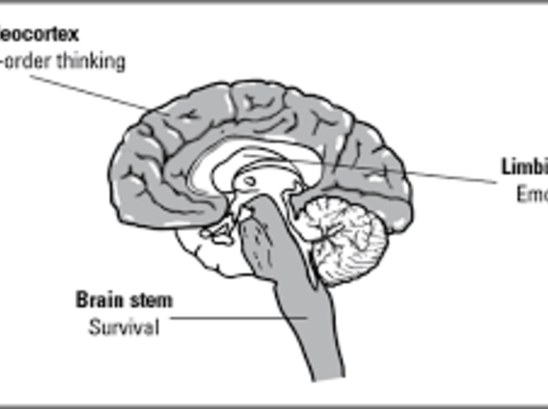 Understanding and Taming Your Reactivity | Psychology Today