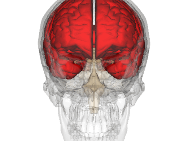 Running May Help Repair Some Types of Brain Damage | Psychology Today