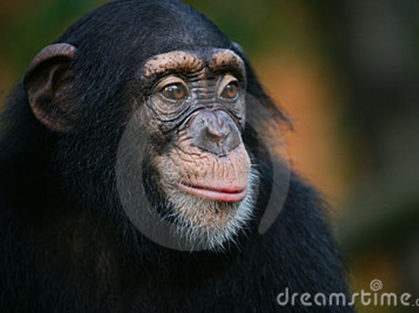 The Dominance Of Emotions In Our Lives | Psychology Today Canada