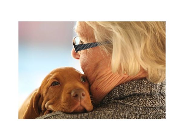 More Truths About Dog People: New Survey Results | Psychology Today Canada