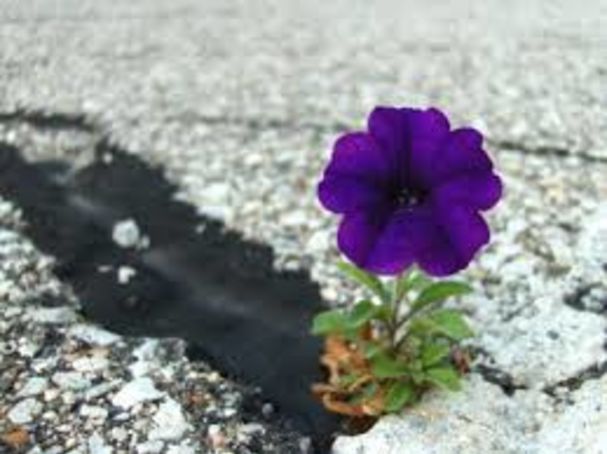 Polyamory at Work | Psychology Today