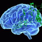 The Brain Mechanics of Rumination and Repetitive Thinking | Psychology ...