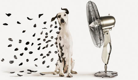 Bookshelf: The Hidden Mind | Psychology Today