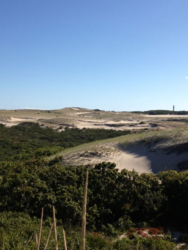 How to Look Out for Yourself | Psychology Today UK