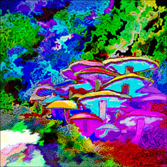 Psilocybin and Personality | Psychology Today