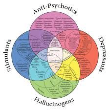 hallucinogens examples list