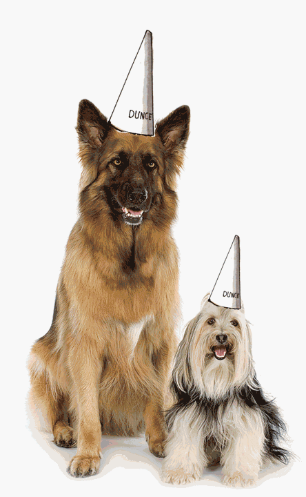 Dog Intelligence: Science, Truth and Journalism | Psychology Today