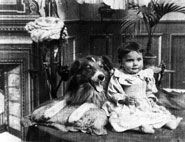 Rover to the Rescue: The First Canine Movie Star | Psychology Today