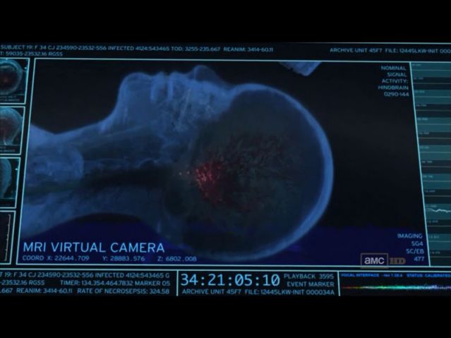 Did the CDC REALLY issue a Zombie Readiness Plan? | Psychology Today