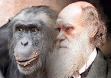 Man and Monkey | Psychology Today
