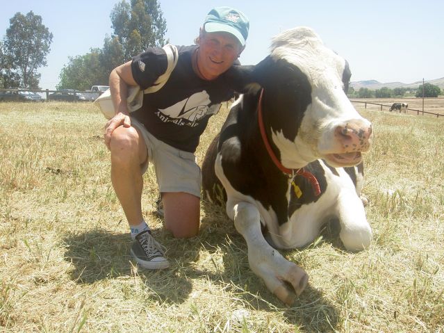 Dehumanization and Animal-Human Similarity | Psychology Today