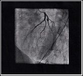 Everyone Is Rational | Psychology Today