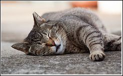 How To Prevent Procrastination | Psychology Today