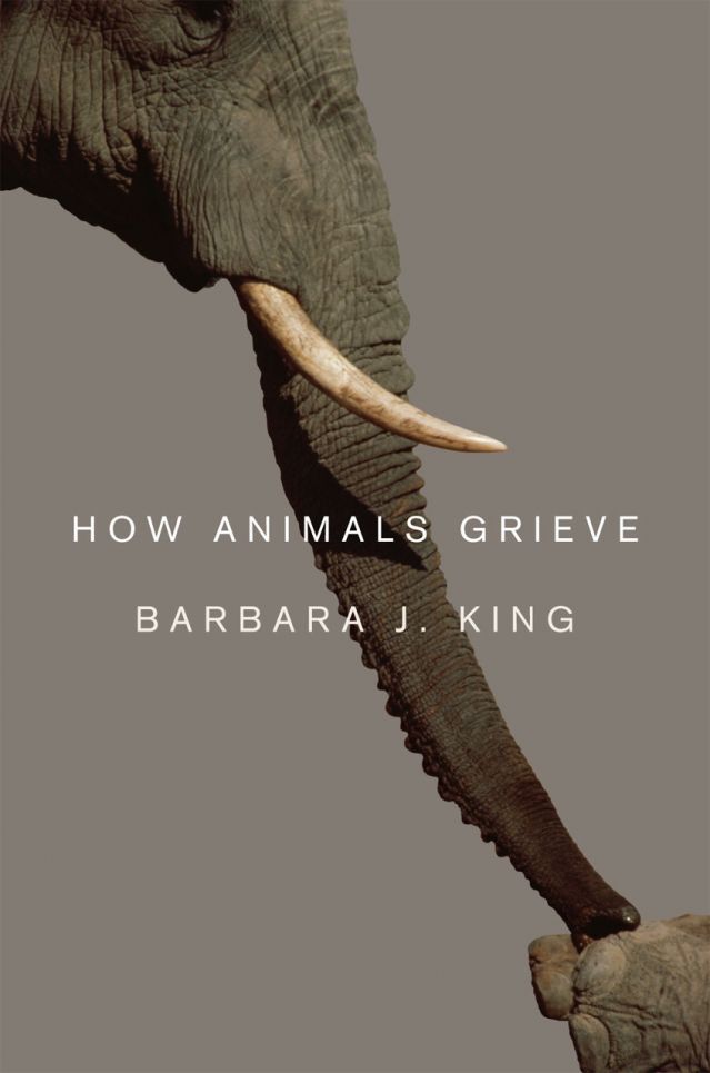 Grief is the Flip Side of Love: How Animals Grieve | Psychology Today