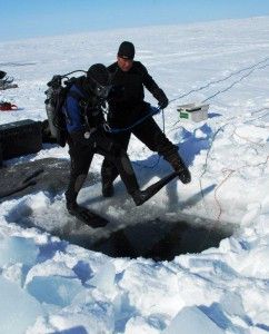 Surviving Fear under the Ice | Psychology Today
