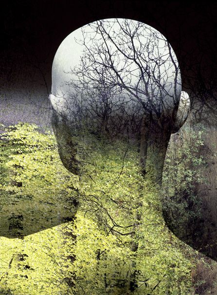 Does Raping the Earth Make Us Crazy? | Psychology Today