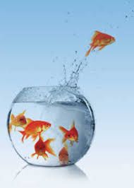 Using Your 5 Personal Power Bases to Get Ahead | Psychology Today