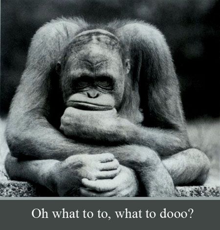 Afghanistan: Confessions of a pacifist leaning and highly conflicted ...