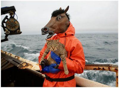 Absurdity and Meaninglessness Increase Learning | Psychology Today