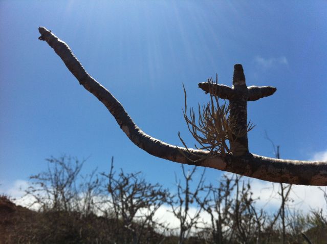 Faith, the Intangible Force in Resilience | Psychology Today UK