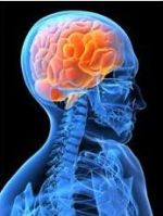 Memory, the Amygdala, and PTSD. | Psychology Today