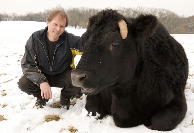 It’s Time (magazine) to Respect Cows | Psychology Today