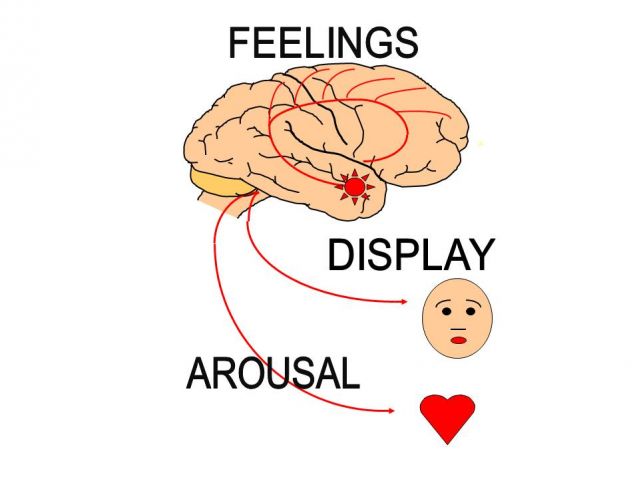 Stages of Emotional Development | Psychology Today Australia