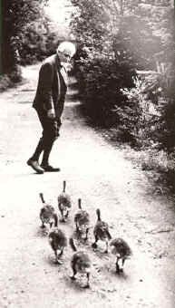 Nature VERSUS Nurture Part 3: QUACK? | Psychology Today