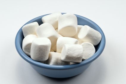 Lead Us Not Into Temptation: Science & The Marshmallow Test ...