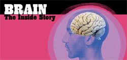 Brain: The Inside Story | Psychology Today