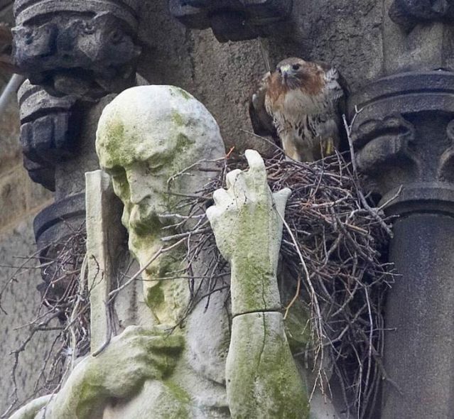 What is your Response to Man's Inhumanity to Man? | Psychology Today