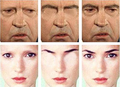 The Real Purpose of Eyebrows? | Psychology Today