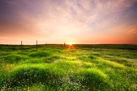 The Power of Nature: Ecotherapy and Awakening | Psychology Today UK