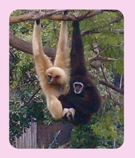 Every Break-up Has a Lesson | Psychology Today