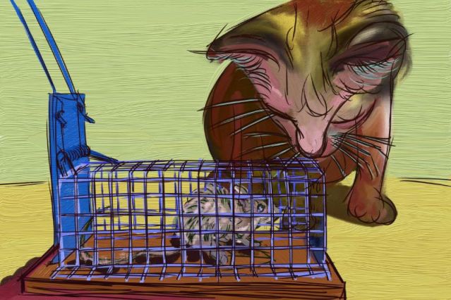 Rats Might Be Empathic and Will Help Other Rats in Need | Psychology Today