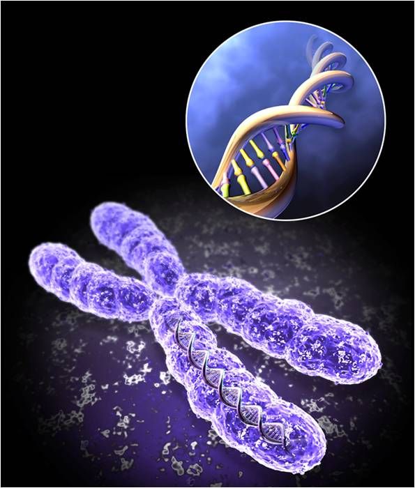 Social Disadvantage Creates Genetic Wear and Tear | Psychology Today