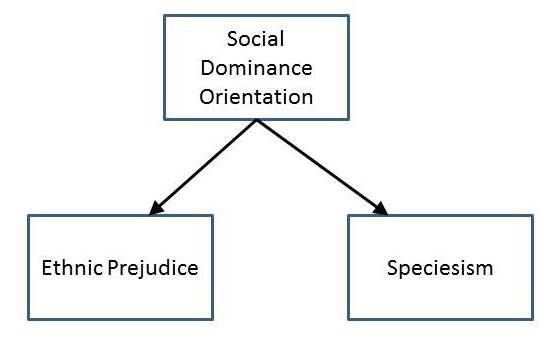 The Meat Paradox: Loving but Exploiting Animals | Psychology Today