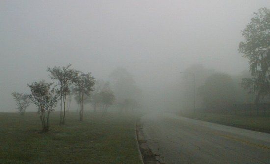 Fog that Can Block Out Joy and Happiness | Psychology Today