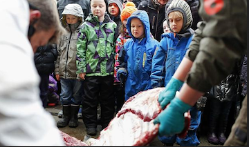 Should You Let Your Kids Watch an Autopsy? | Psychology Today