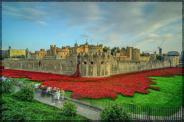 How Natural is War to Human Beings? | Psychology Today Canada