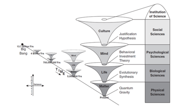 Toward a Big Theory of Knowledge | Psychology Today