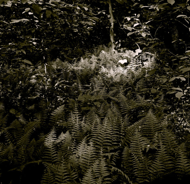 A Book Is.... | Psychology Today