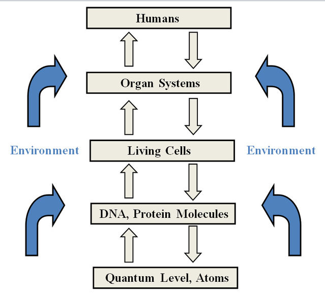 Complexity, Physics, and the Emergence of Consciousness | Psychology ...