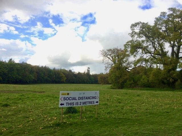 How Do People Decide To Do The Right Thing? | Psychology Today