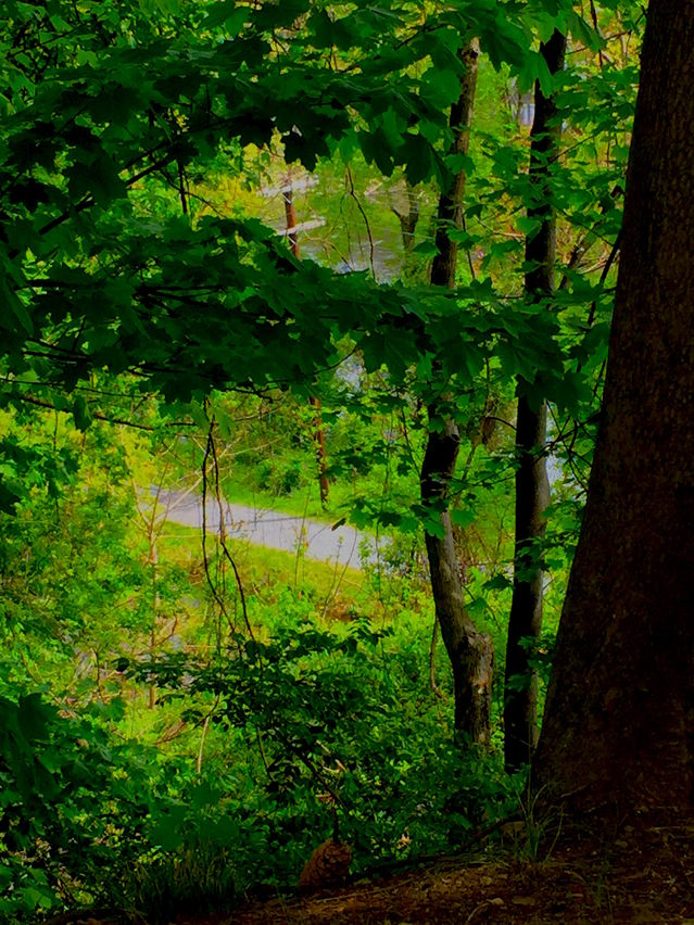 Backwoods Predators | Psychology Today