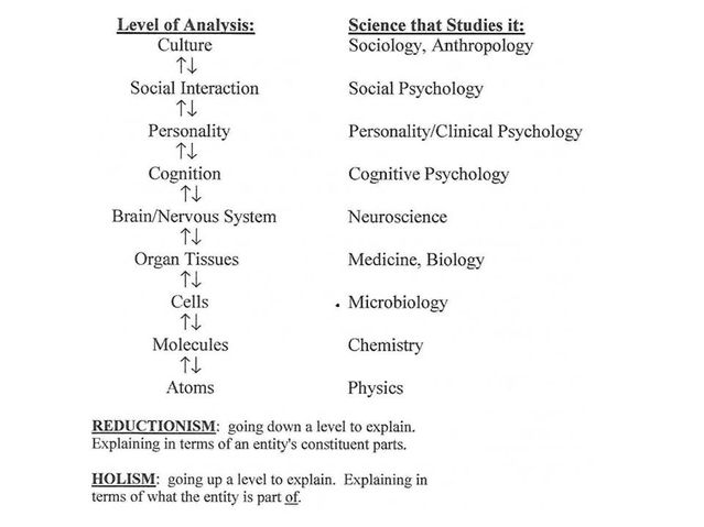 Moving From the Biopsychosocial Model to the ToK System | Psychology Today